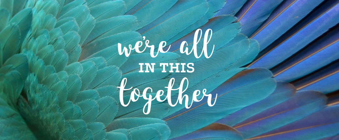 We're All In This Together - Number 1 Signs Auckland